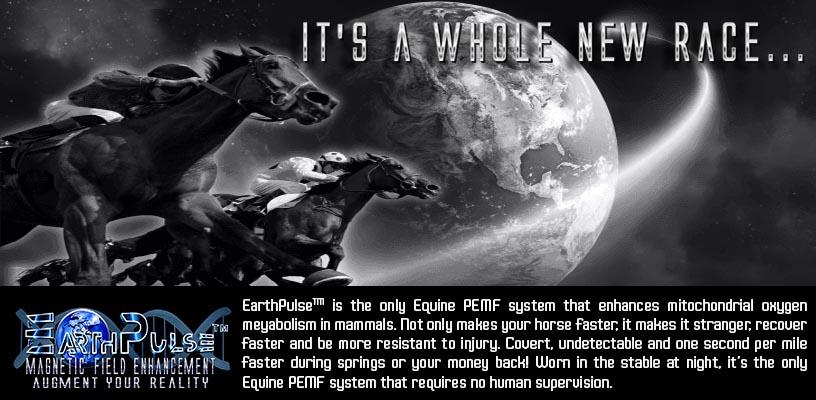 Equine Sports Performance Enhancement PEMF | EarthPulse™ PEMF
